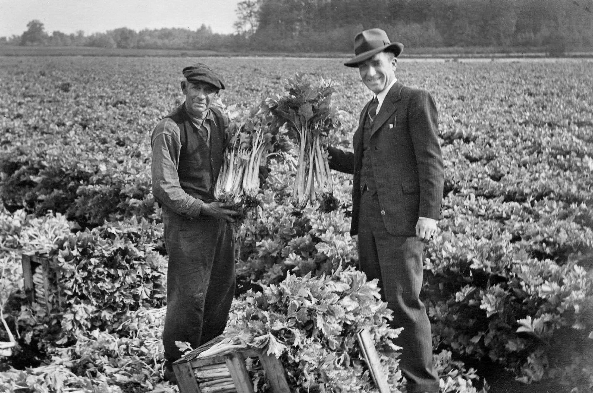 Historic Photo Gallery – Walworth Historical Society